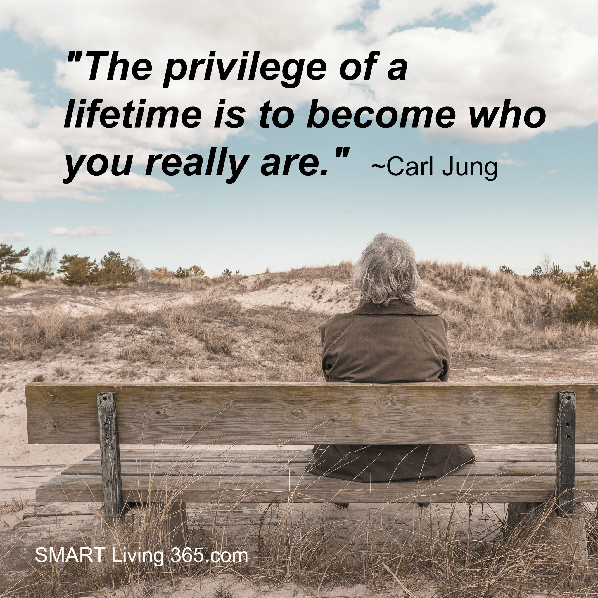 Carl Jung And The Art Of Aging Well Semel Institute For Neuroscience