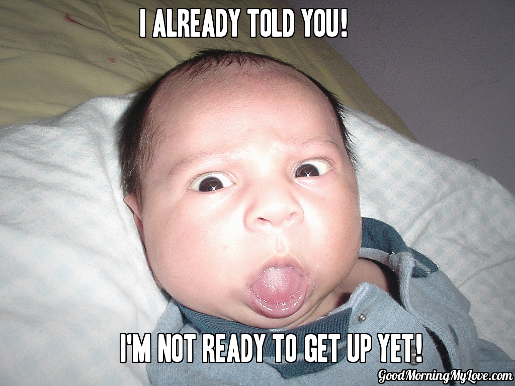 Cute And Funny Good Morning Memes HuffPost