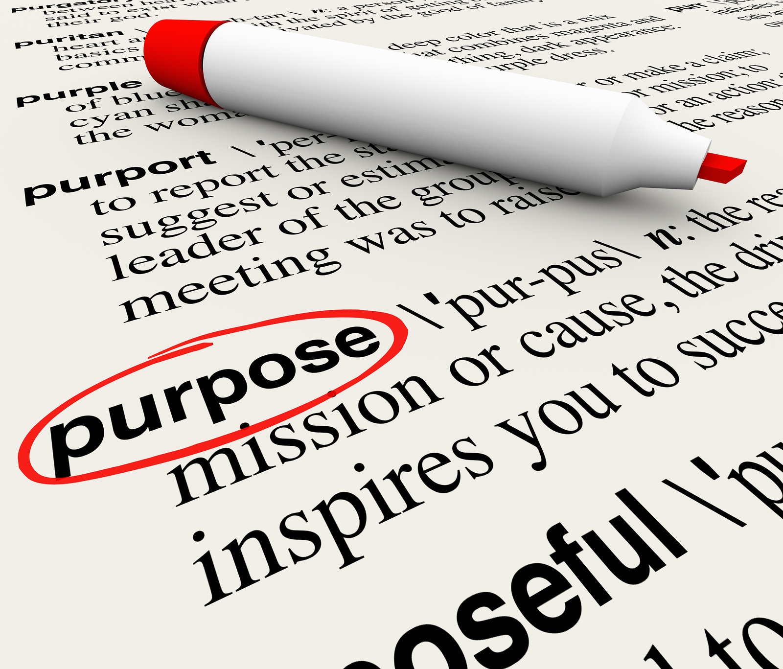 Launching A Business What s Your Purpose HuffPost