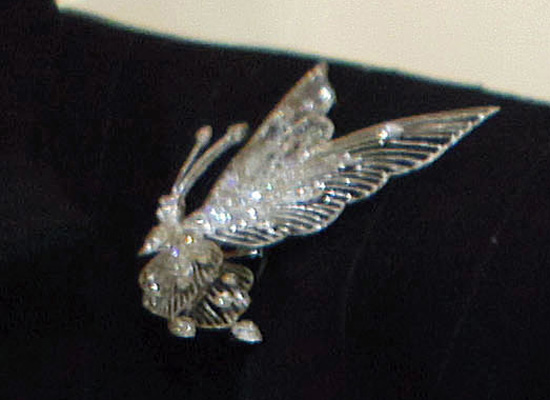 Hillary Clinton's Brooch: What Is It? | HuffPost Life