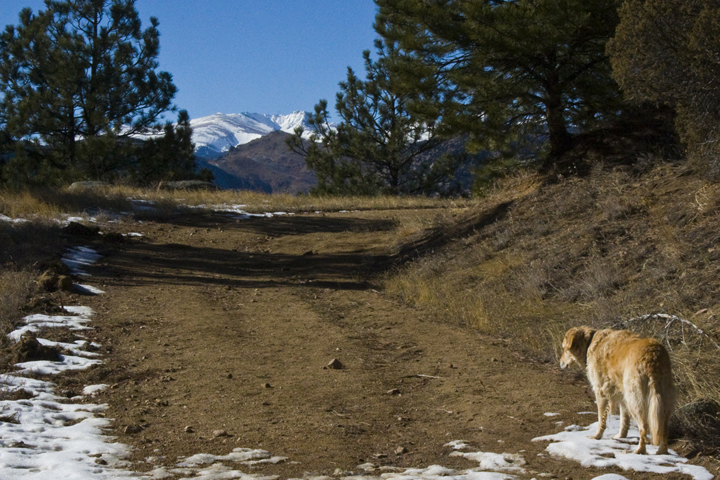Boulder's Tenderfoot Is Kaput (Photos) | HuffPost Denver