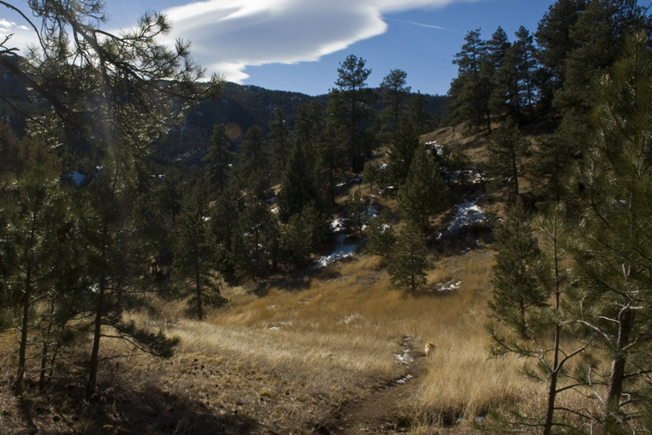 Boulder's Tenderfoot Is Kaput (Photos) | HuffPost Denver