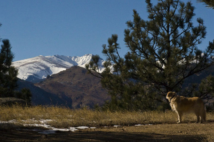 Boulder's Tenderfoot Is Kaput (Photos) | HuffPost Denver