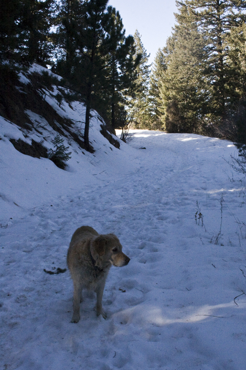 Boulder's Tenderfoot Is Kaput (Photos) | HuffPost Denver