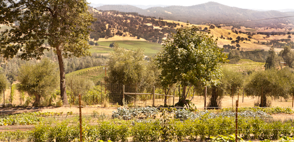 Farm to Fork Across America: Clif Bar... a Tour of the White Road ...