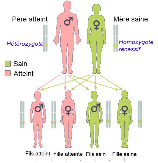 Cancer: les avancées de la médecine nous permettront de lutter contre ...