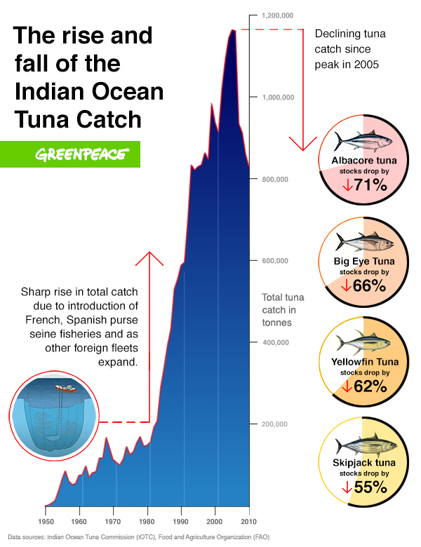 Where Have All the Tuna Gone? | HuffPost Impact