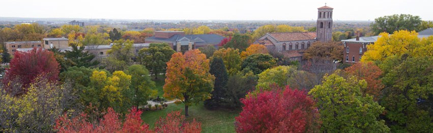 10 Fantastic Autumn Traditions Celebrated at Women's Colleges ...