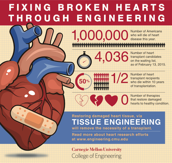 Engineering a Better Heart | HuffPost Life