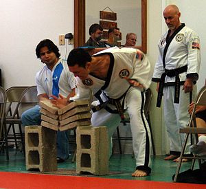 How Do Martial Artists Break Concrete Blocks? | HuffPost Weird News