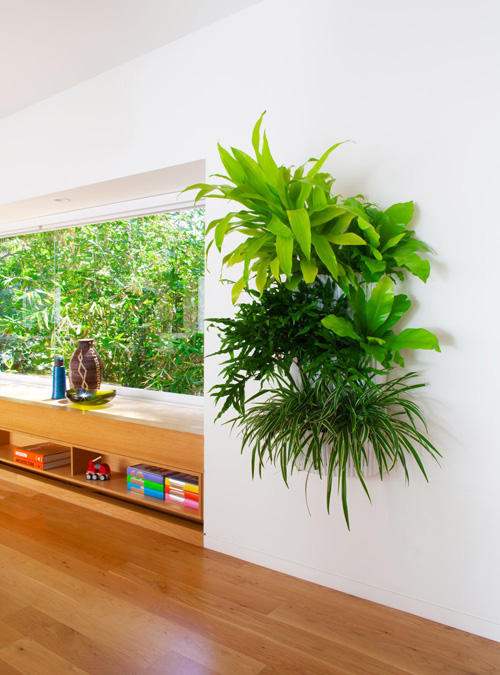 Create a Breathtaking Living Wall This Season | HuffPost Life