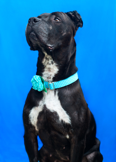 Corey Towers Made Lucy Feel Beautiful | HuffPost Good News