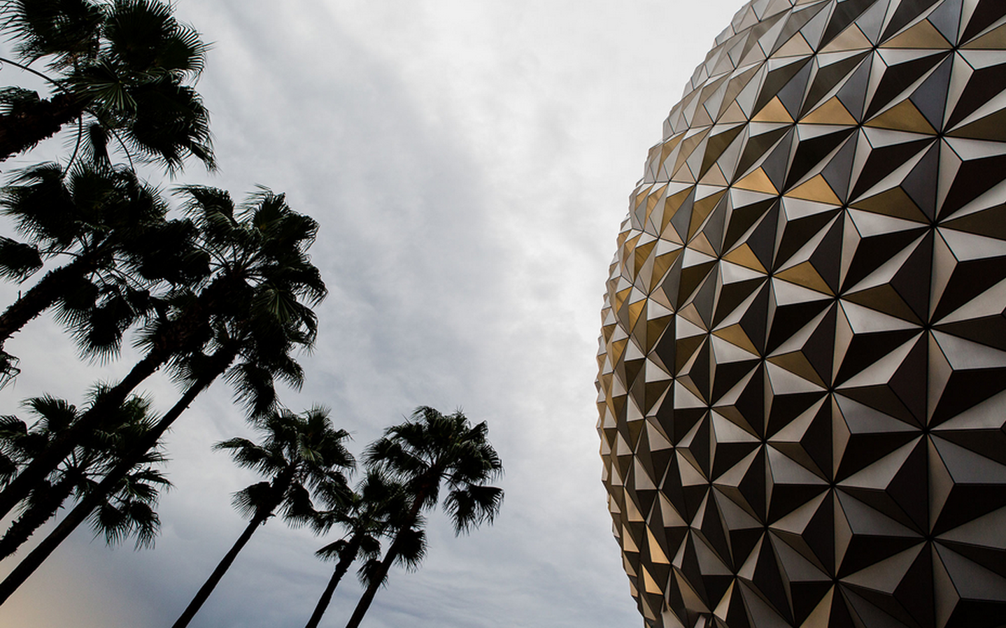 An Instagrammer's Guide To Walt Disney World | HuffPost Life