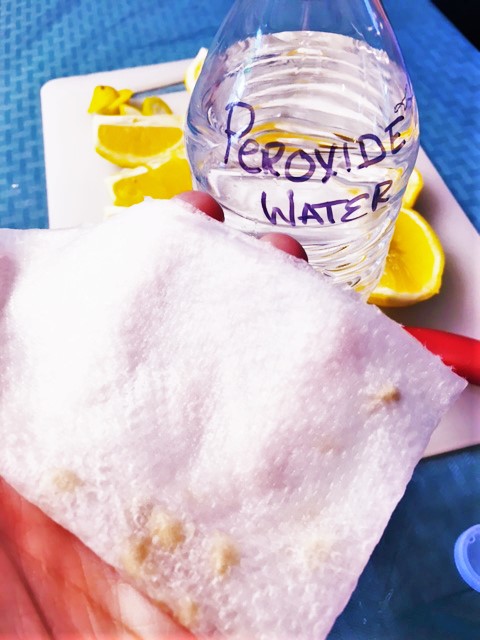 Growing Lemons... Yep On a Tree | HuffPost Life