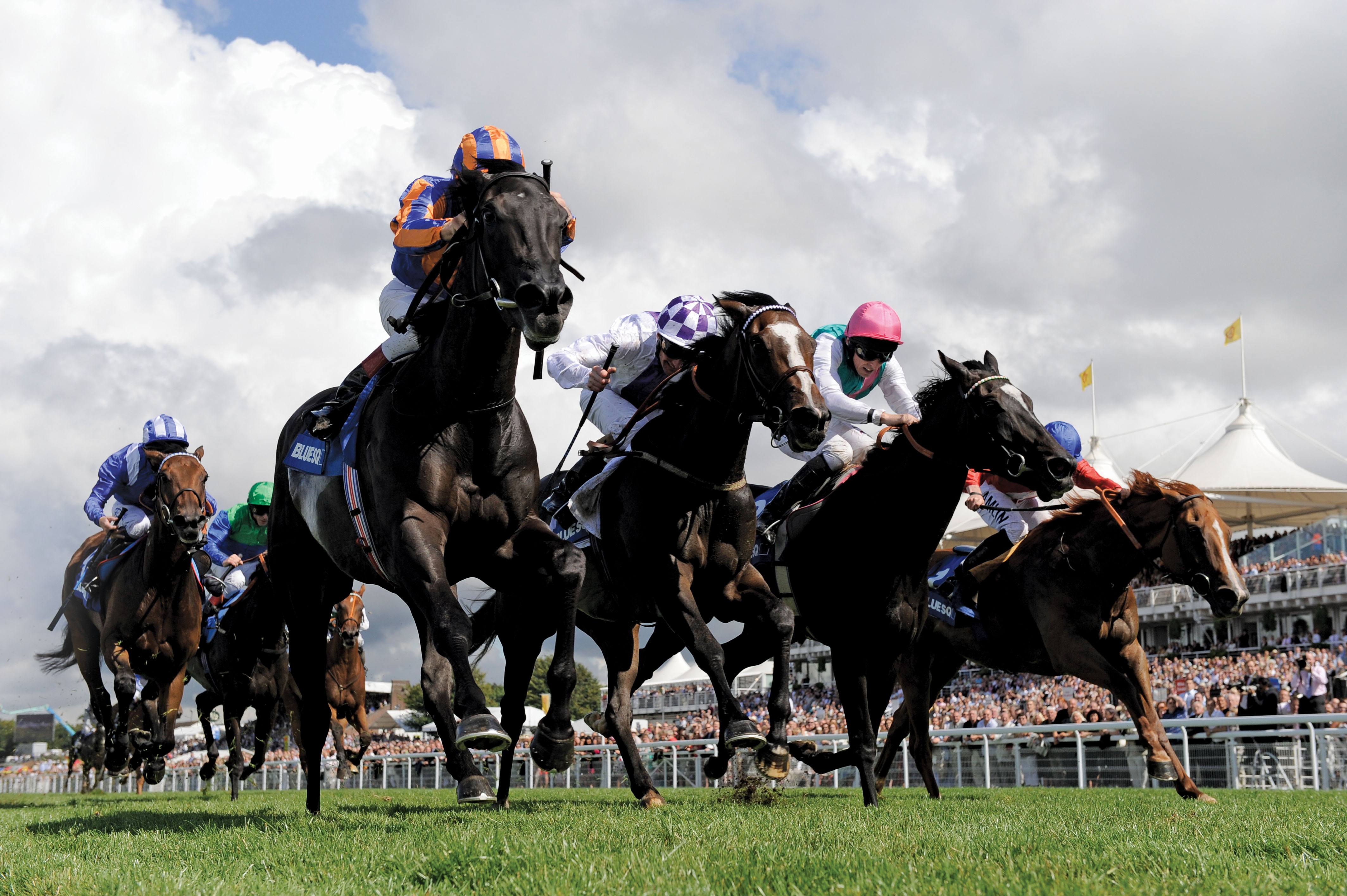 A Day At The Races | HuffPost Life