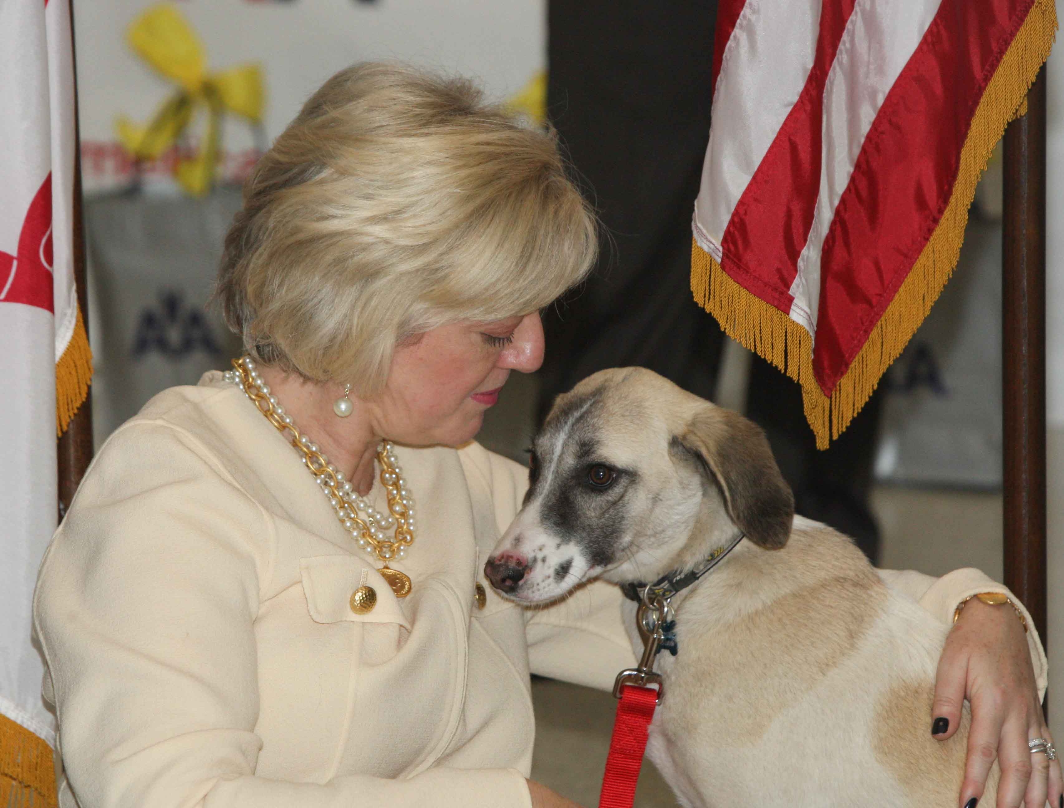 The Wonderful Journey of Nowzad Dogs | HuffPost Impact