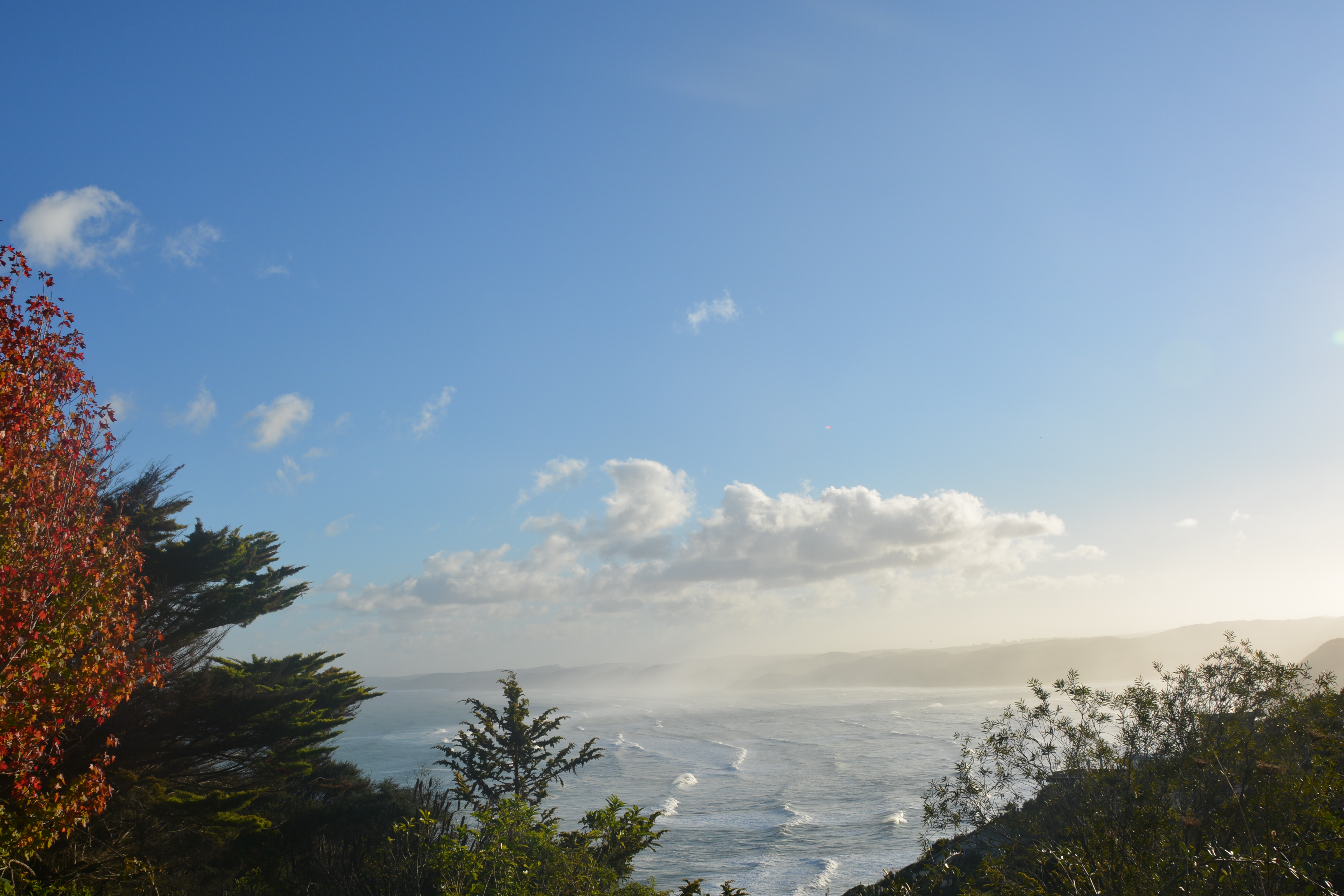 Raglan, New Zealand: The Best Surfing Town You've Never Heard Of ...